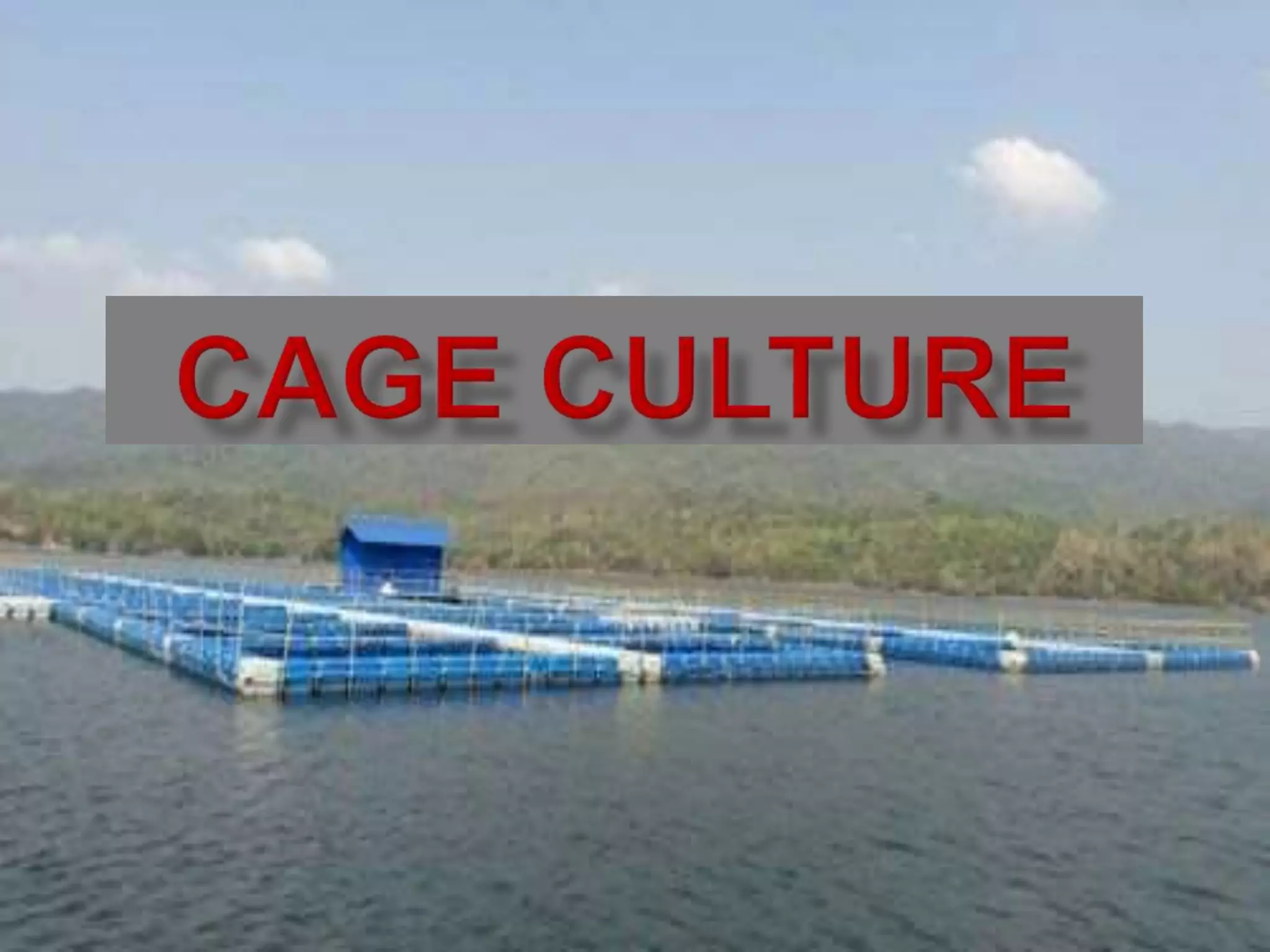 Cage culture | PPTX