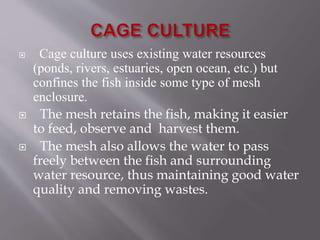 Cage culture | PPTX