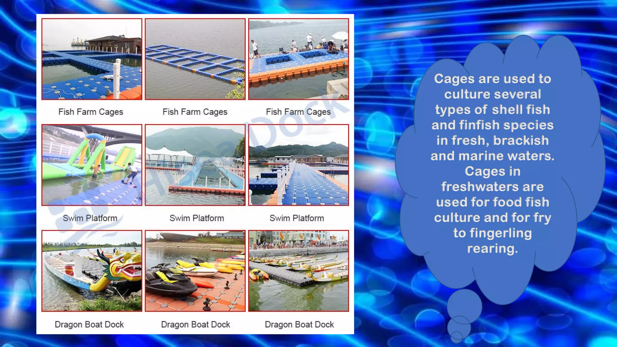 Caged fish-farming | PDF