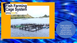 Caged fish-farming | PDF