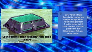 Caged fish-farming | PDF
