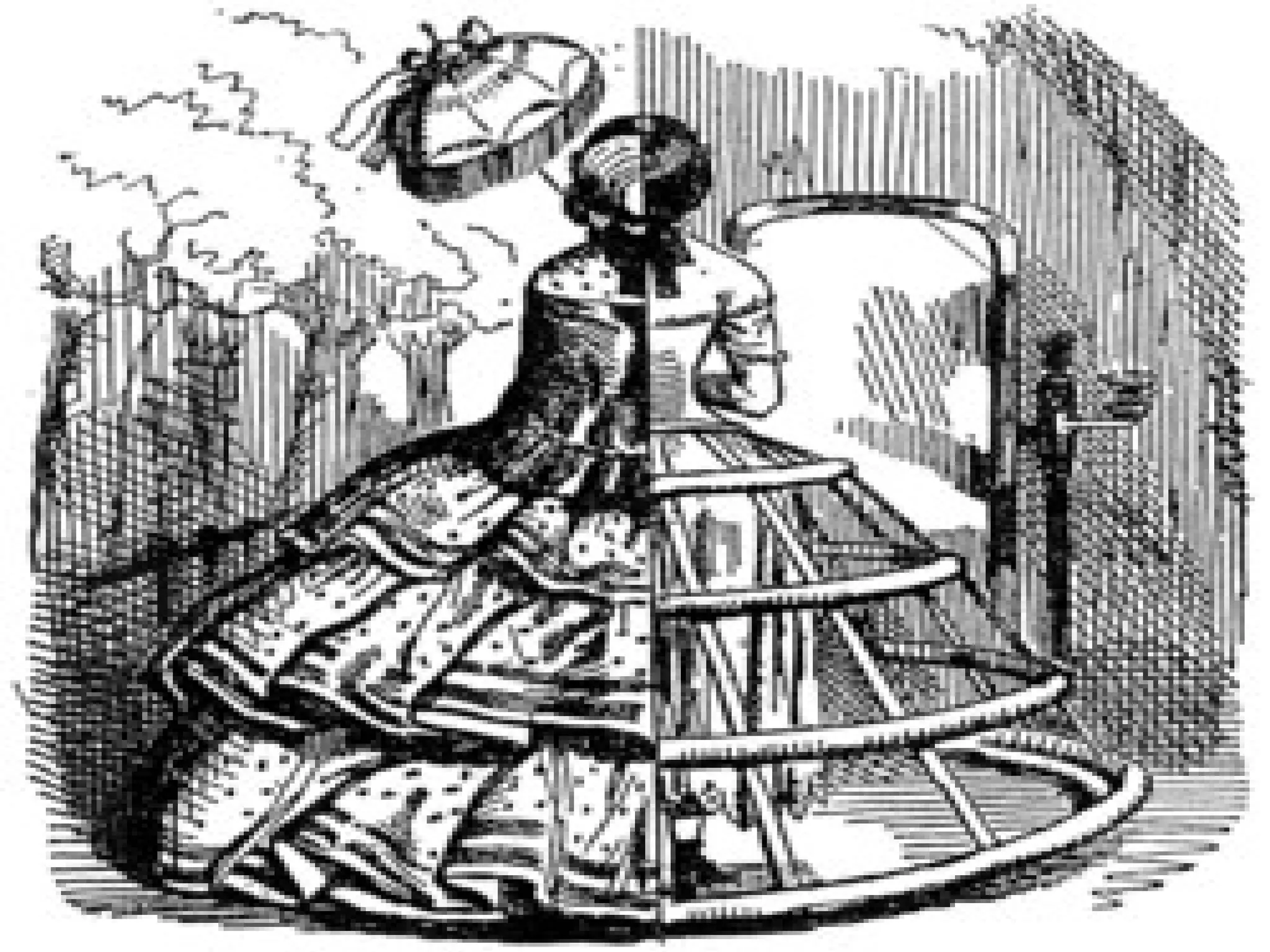 Caged crinoline | PPT