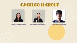 CAGELCO presentation and final output.pptx
