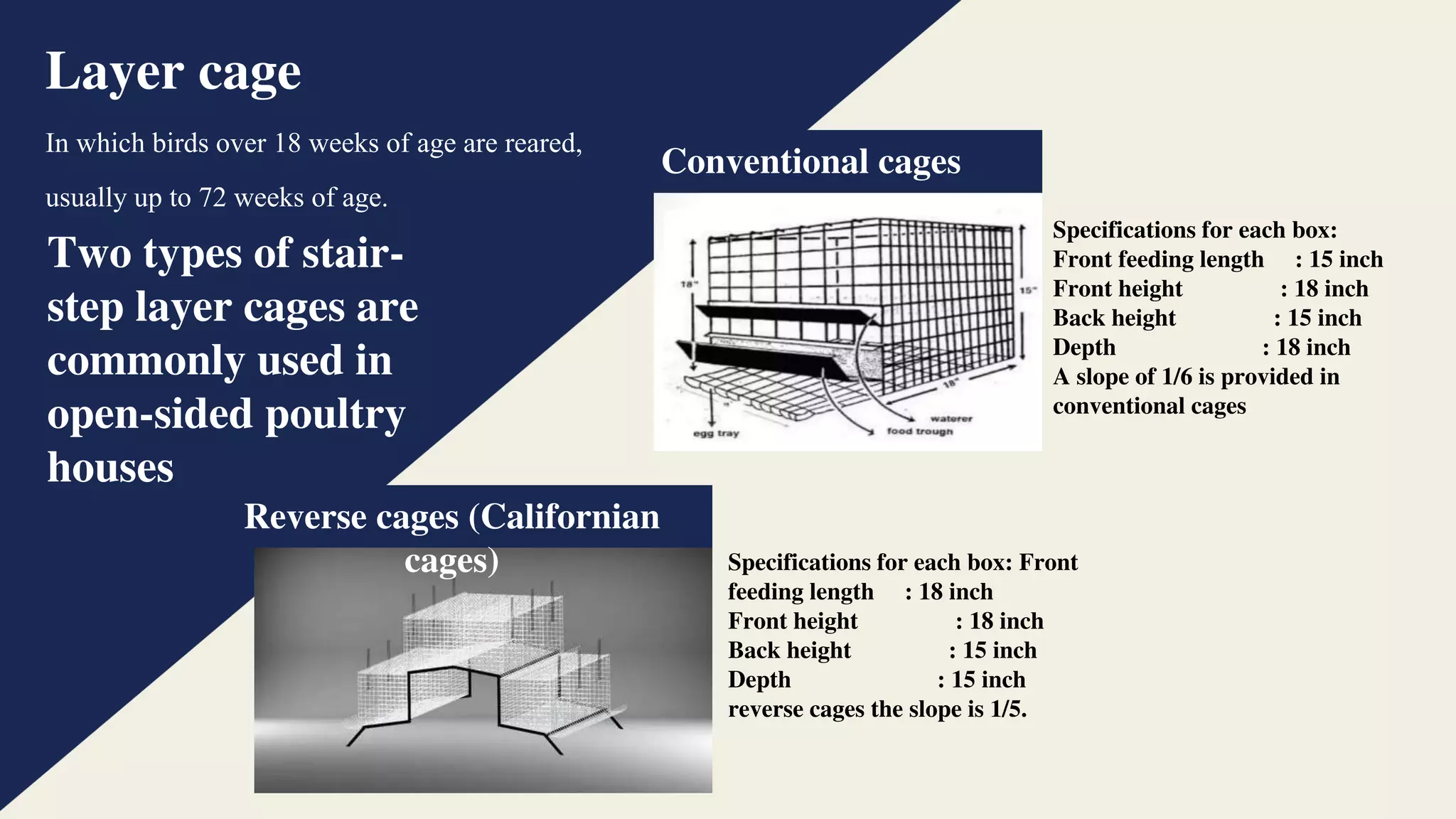 CAGE SYSTEM for POULTRY FARMING.pptx.pptx
