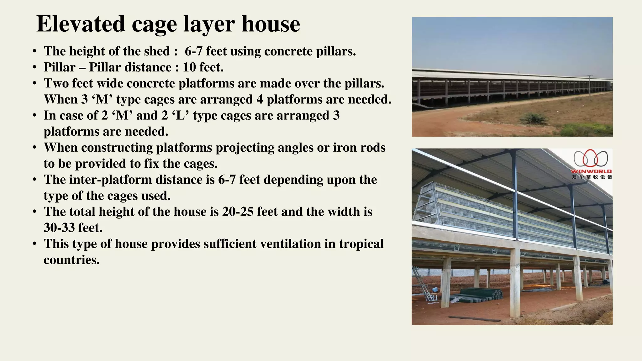 CAGE SYSTEM for POULTRY FARMING.pptx.pptx