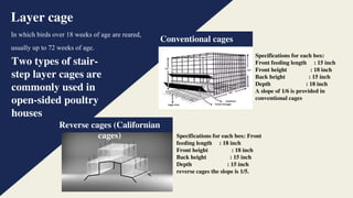 CAGE SYSTEM for POULTRY FARMING.pptx.pptx