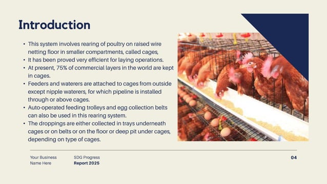 CAGE SYSTEM for POULTRY FARMING.pptx.pptx | Birdwatching | Hobbies & Interests