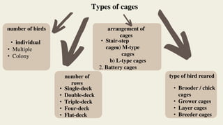 CAGE SYSTEM for POULTRY FARMING.pptx.pptx