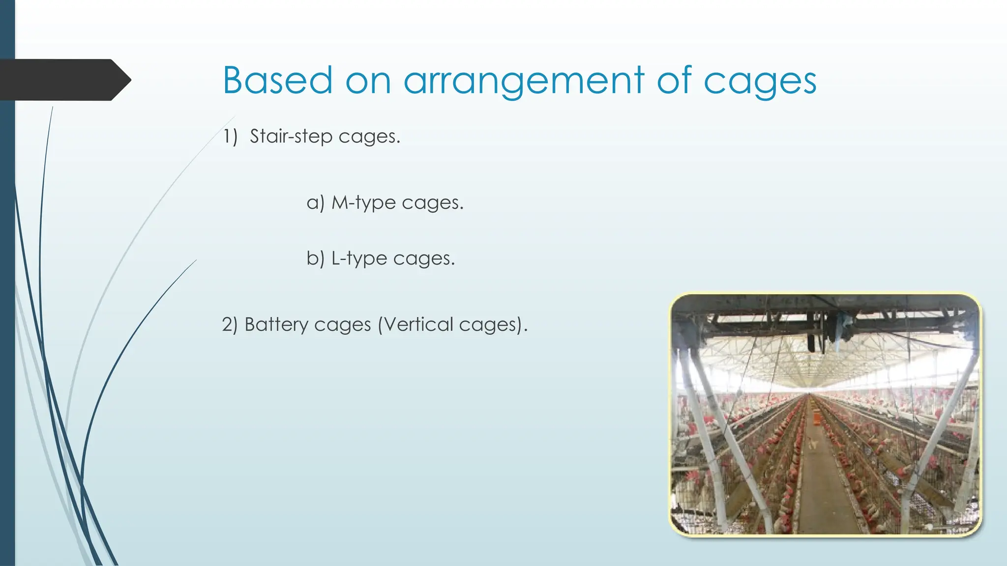 Cage system of poultry housing ,types and advantages.pptx