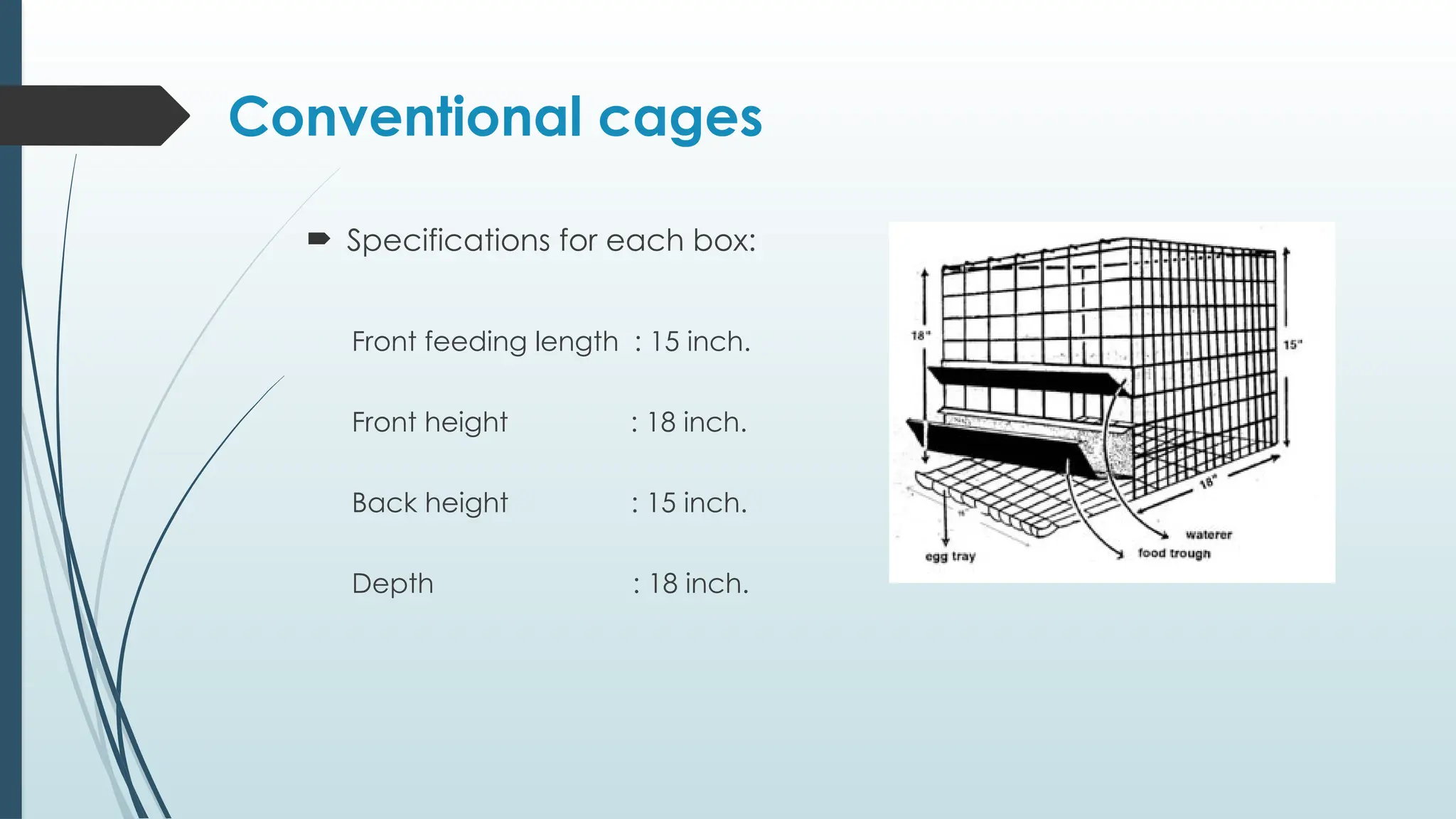 Cage system of poultry housing ,types and advantages.pptx