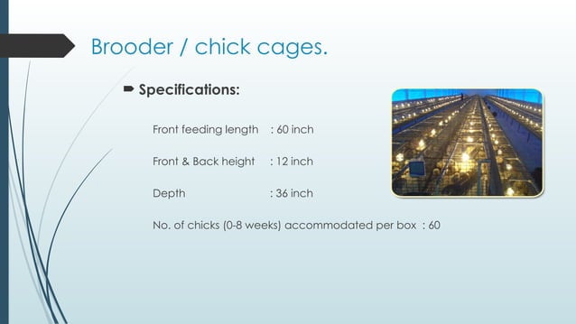 Cage system of poultry housing ,types and advantages.pptx | Agriculture ...