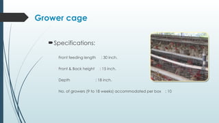 Cage system of poultry housing ,types and advantages.pptx