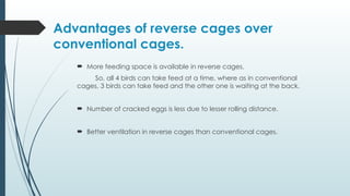 Cage system of poultry housing ,types and advantages.pptx