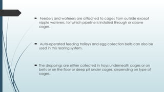 Cage system of poultry housing ,types and advantages.pptx