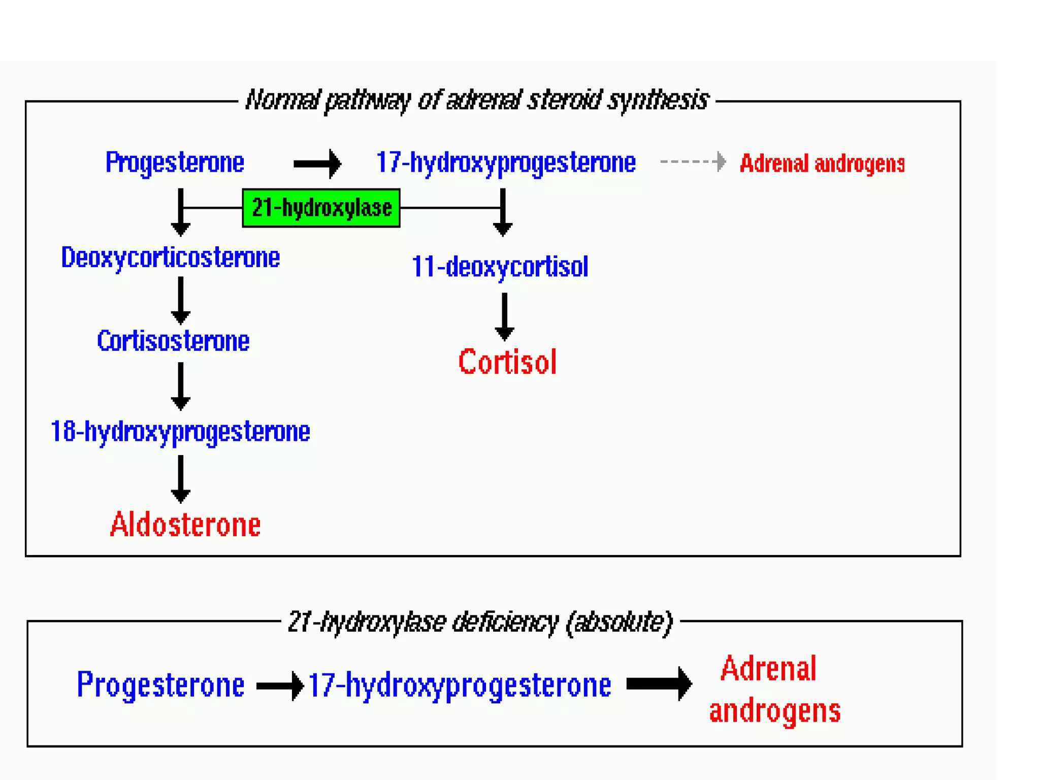 Congenital Adrenal Hyperplasia (CAH) | PPTX