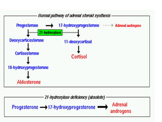 Congenital Adrenal Hyperplasia Pathway