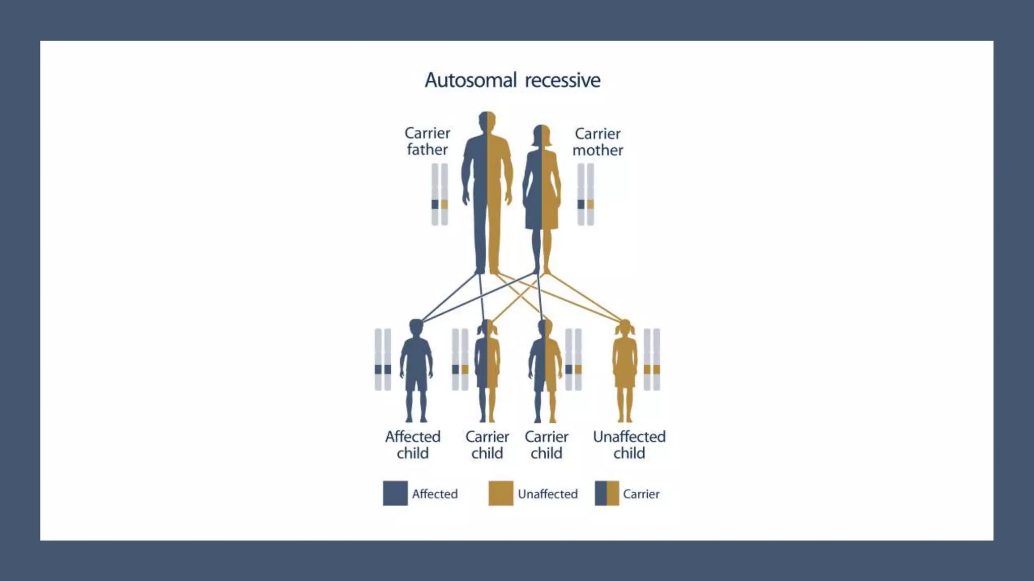 Congenital Adrenal Hyperplasia (CAH) | PPTX