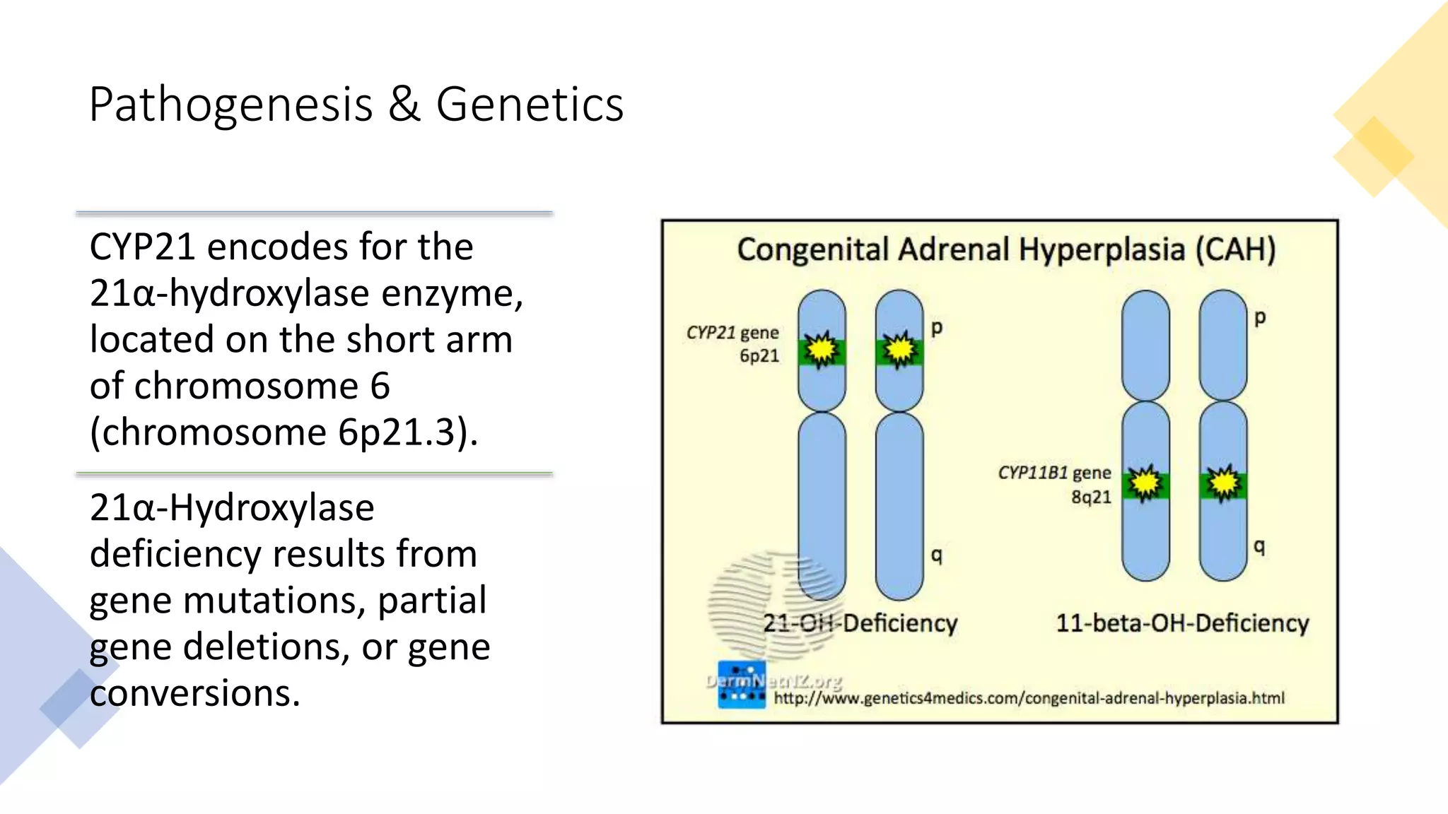 Congenital Adrenal Hyperplasia (CAH) | PPTX