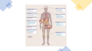 Congenital Adrenal Hyperplasia (CAH) | PPTX