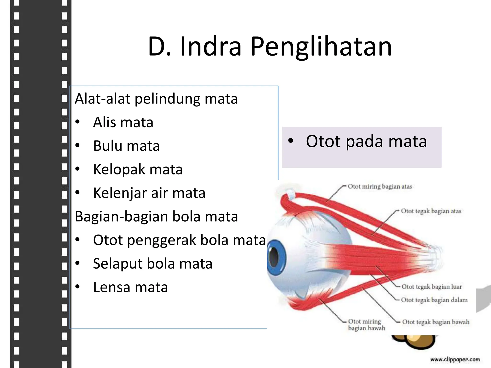 cahaya ( materi chaya kelas 9 meliputi sifat cahaya, cermin, lensa ...
