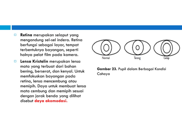 Cahaya dan optik bagian 2 | PPT