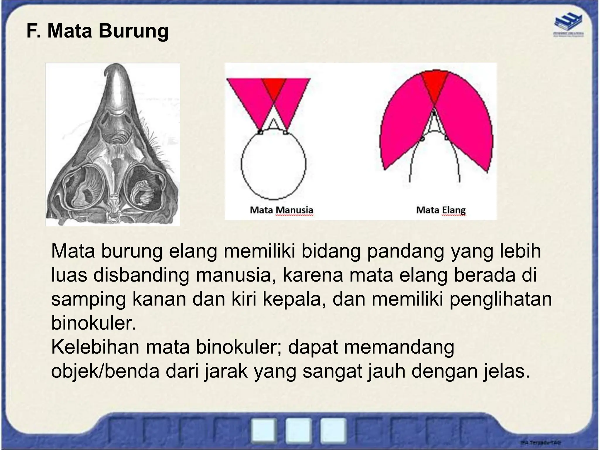 Cahaya dan Alat Optik Pelajaran IPA untuk Kelas 8 | PPT