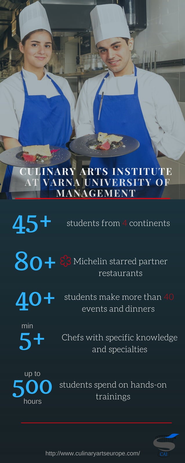 Culinary Arts Institute - programme | PDF