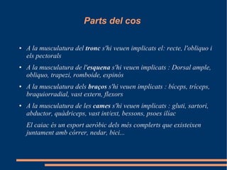 Apunts caiac | PPT