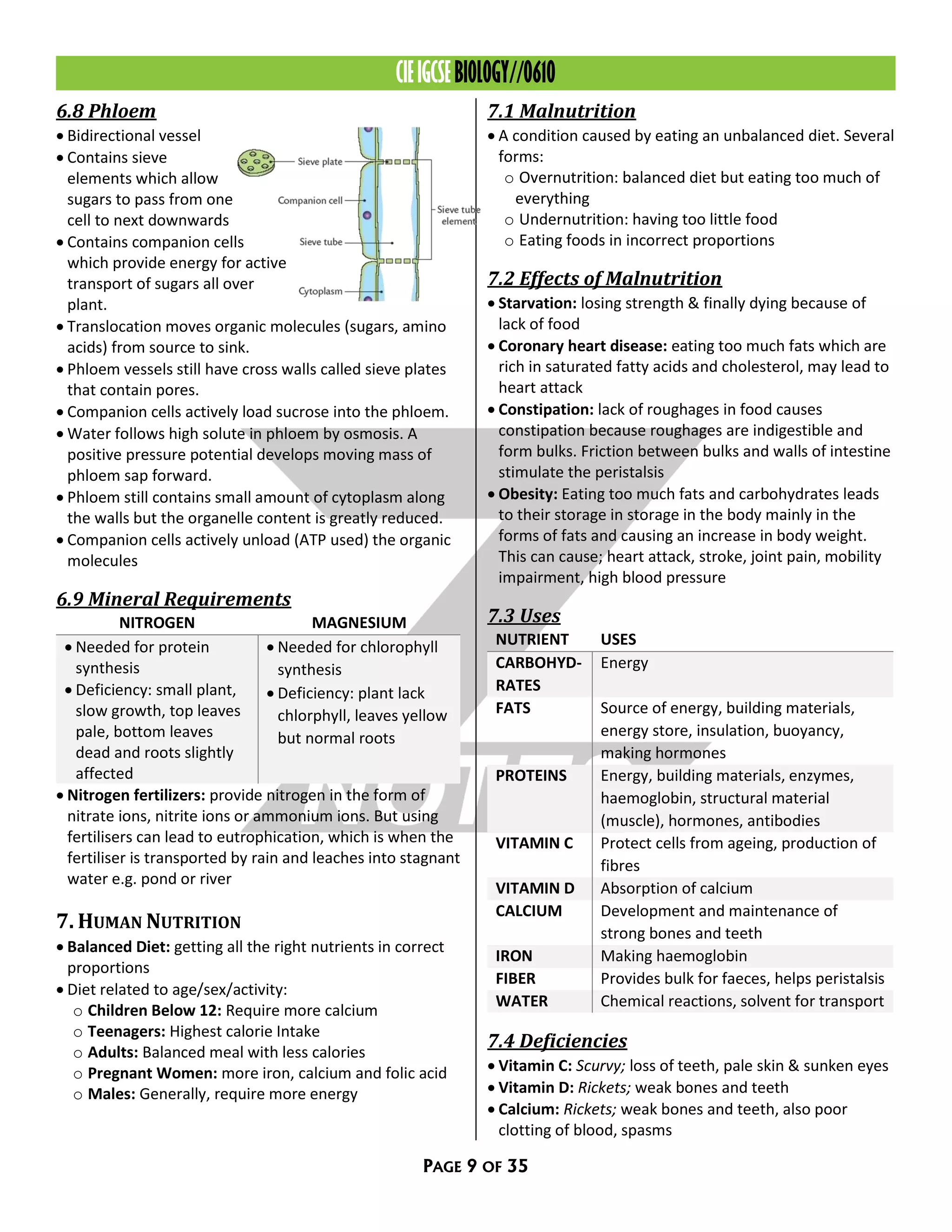 Caie igcse-biology-0610-theory | PDF
