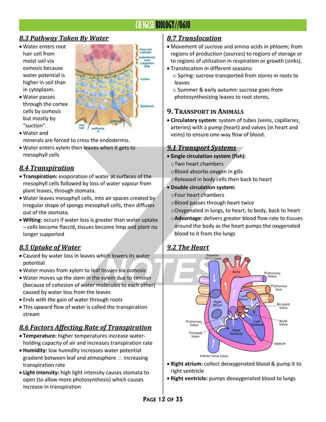 Caie igcse-biology-0610-theory | PDF