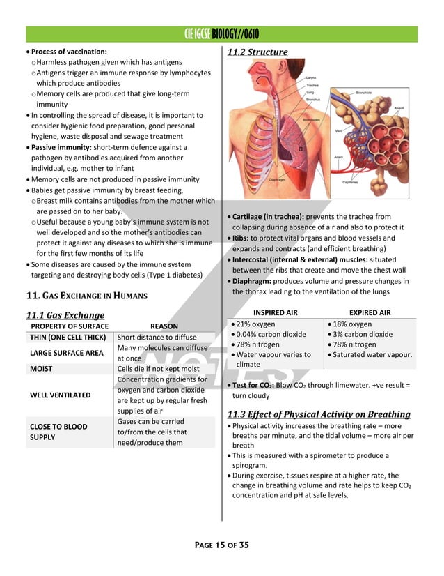 Caie igcse-biology-0610-theory | PDF