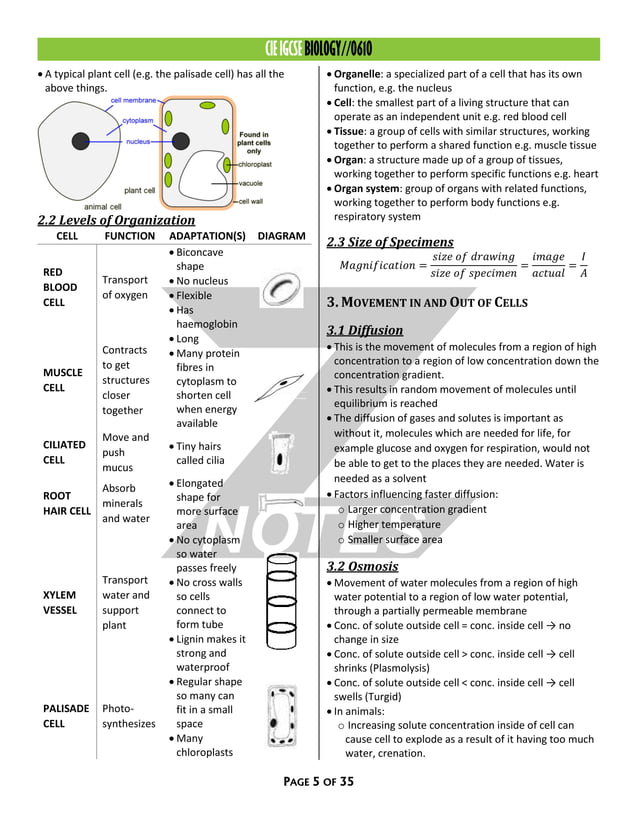 Caie igcse-biology-0610-theory | PDF