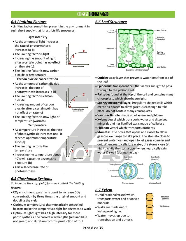 Caie igcse-biology-0610-theory | PDF