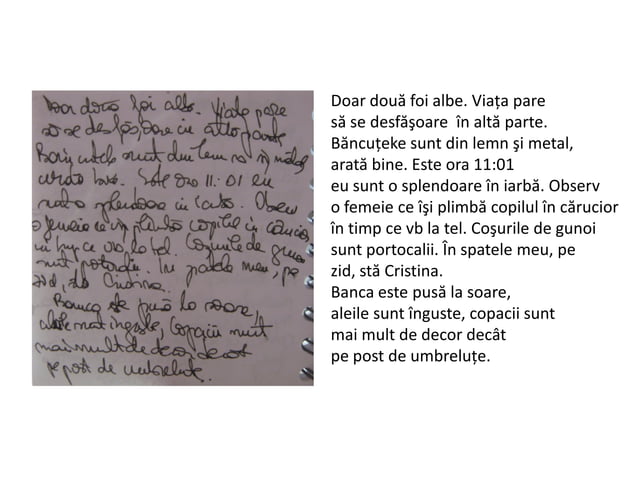 Caiet de practica | PDF