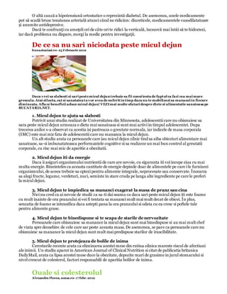 Caietele principelui (12) 2012 | DOC