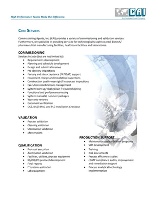 CAI Firm Overview | DOC