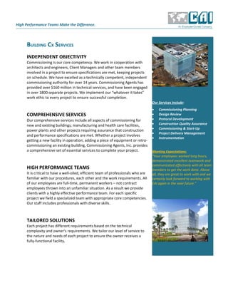 CAI Firm Overview | DOC