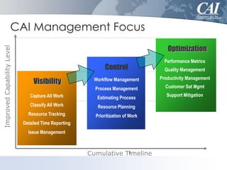 Introduction to CAI | PPTX | Business | Business and Finance