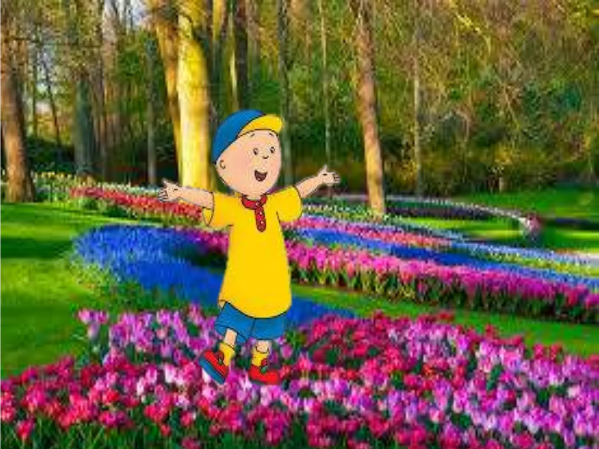 Caillou y las estaciones | PPT