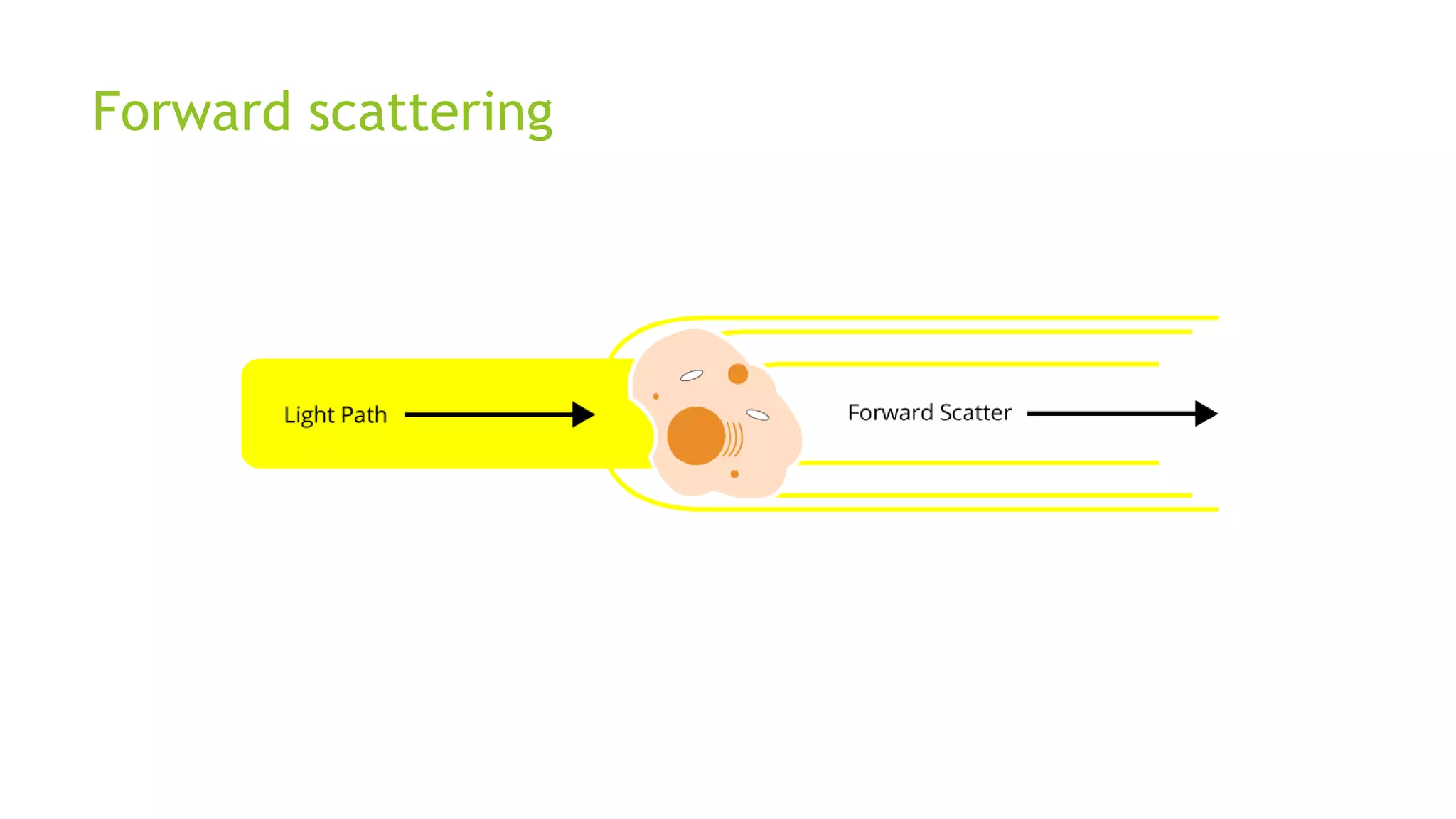 Calcium influx assay and flow cytometry | PPTX