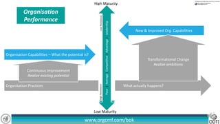 Achieving Performance Ambition | PPTX
