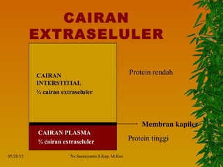 Cairan dan elektrolit | PPT