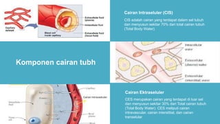 Cairan dan elektrolit | PPT
