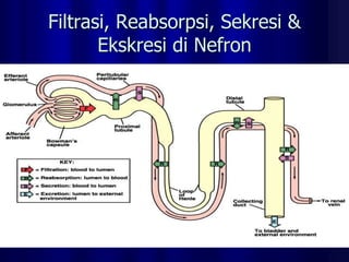 CAIRAN & ELEKTROLIT.ppt