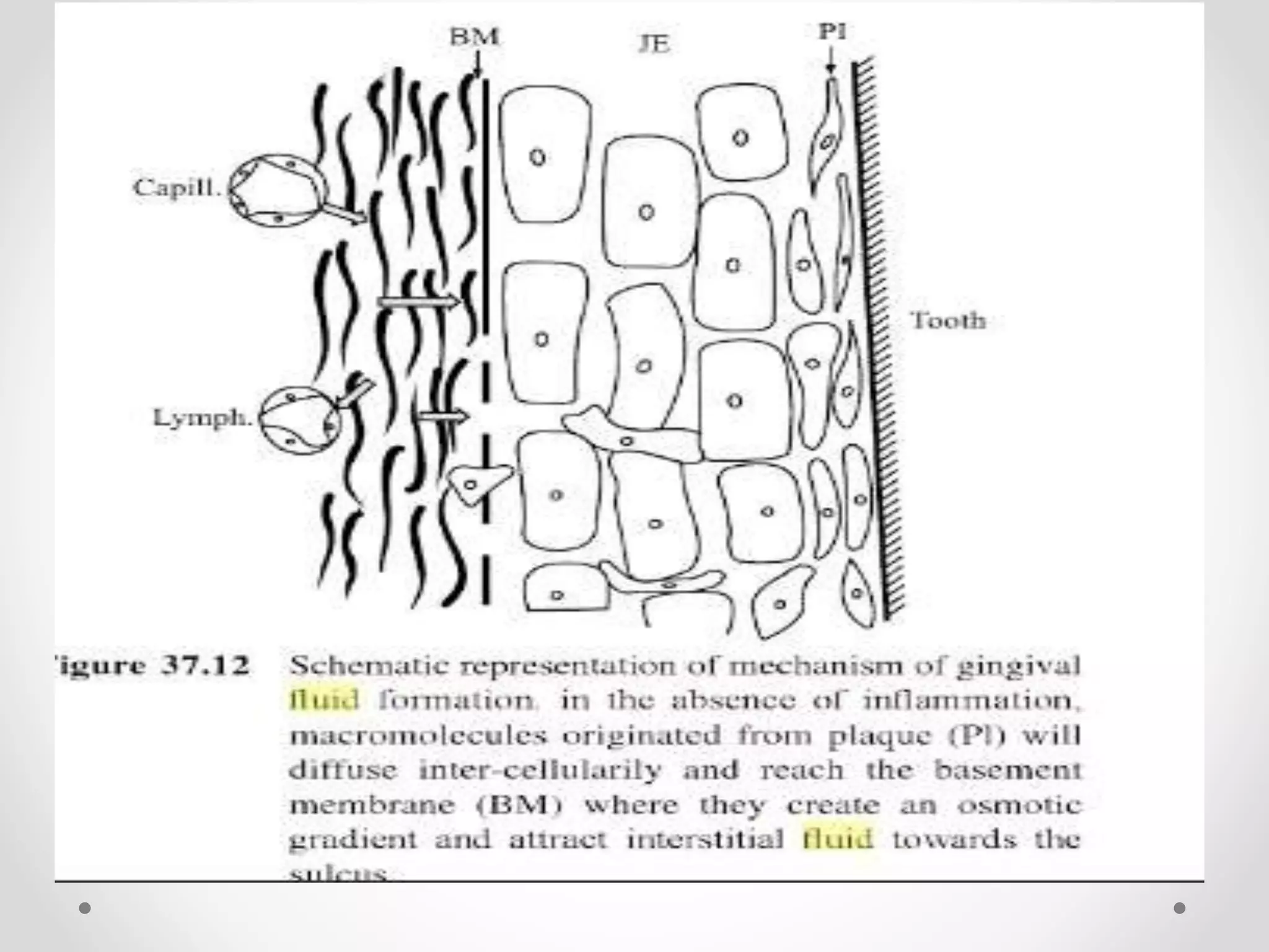 Cairan Sulcus Gingiva (Gingival Crevicular Fluid) | PPTX
