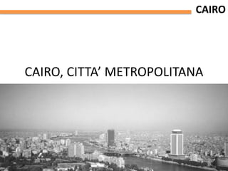 MSLab - Cairo, area di progetto | PPTX | Agriculture | Industries