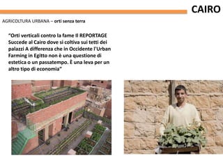 MSLab - Cairo, area di progetto | PPT