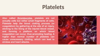 Comprehensive Overview of the Cardiovascular System: Heart, Blood, and ...