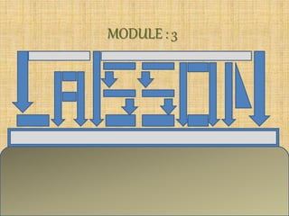 BCT MODULE 2 - Caisson | PPTX