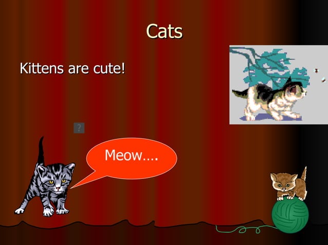 Caitlin Animal Presentation | PPT